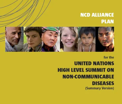 NCD Alliance Launches Plan for UN NCD Summit | NCD Alliance